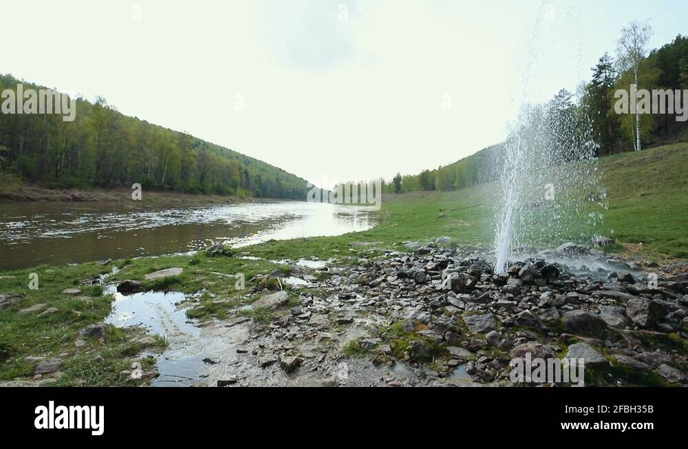 Underground forest Stock Videos & Footage - HD and 4K Video Clips - Alamy