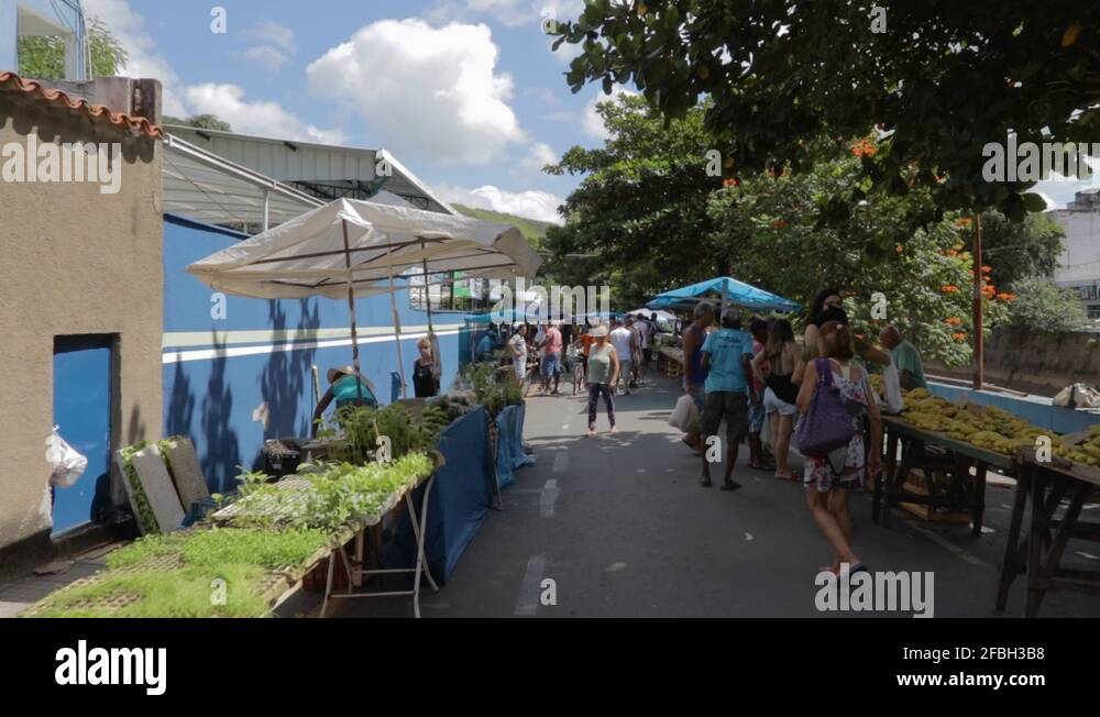 Produce plants Stock Videos & Footage - HD and 4K Video Clips - Alamy