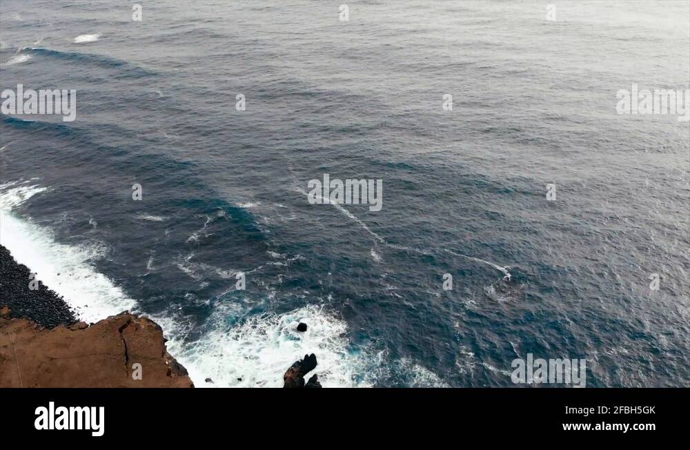 Cliff nesting seabirds Stock Videos & Footage - HD and 4K Video Clips ...