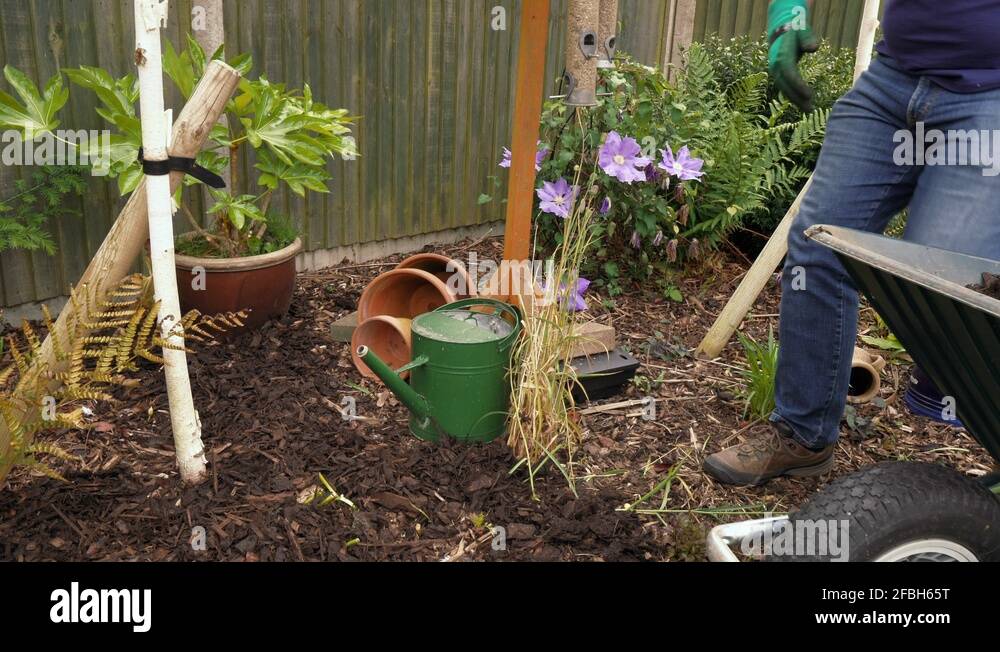 Ring bark Stock Videos & Footage - HD and 4K Video Clips - Alamy