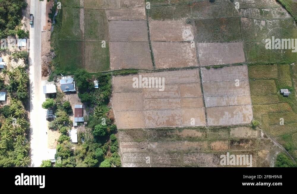 Rice field in palawan philippines Stock Videos & Footage - HD and 4K ...