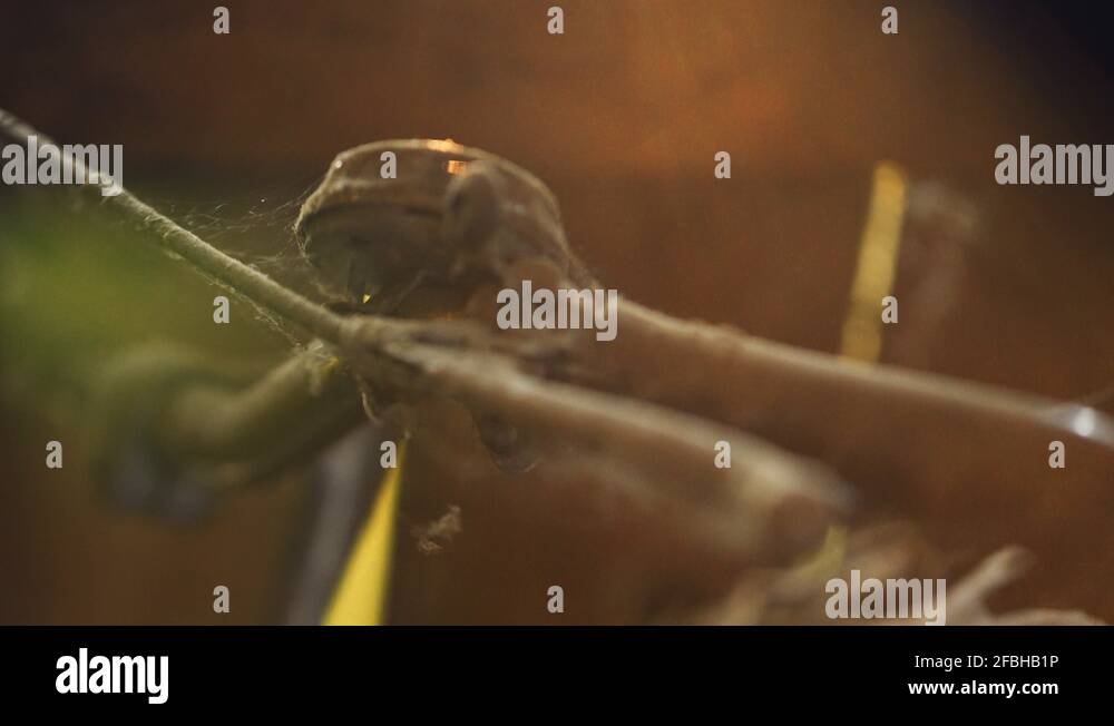 Bell lane Stock Videos & Footage - HD and 4K Video Clips - Alamy