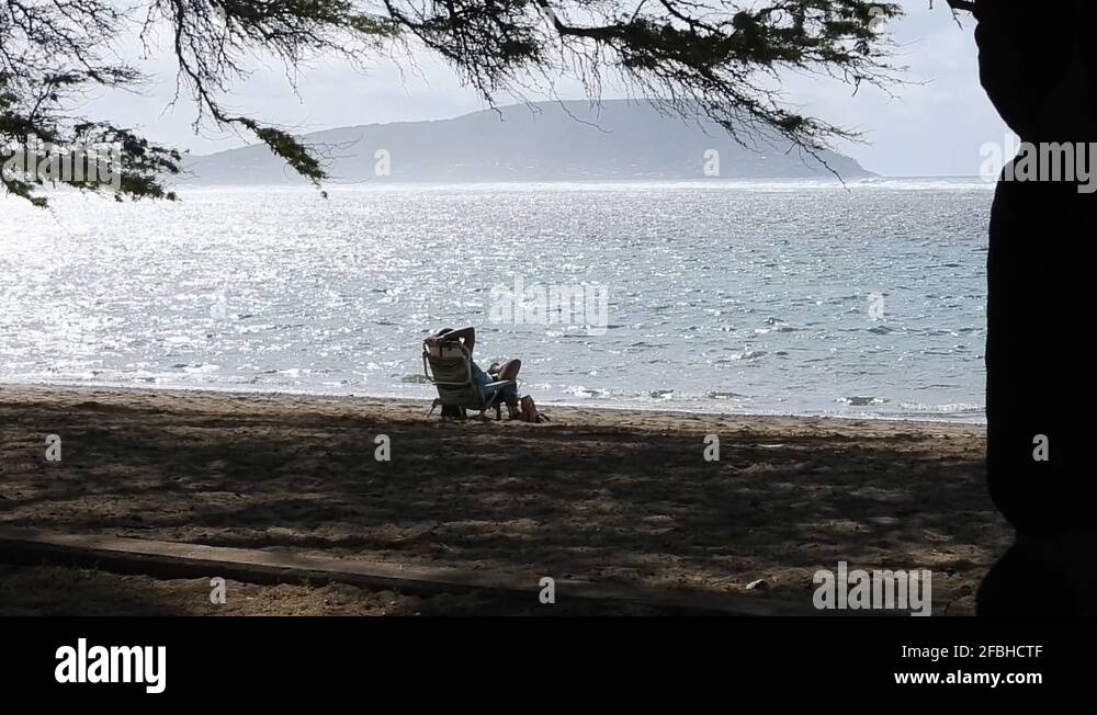 Sitting on a beach chair Stock Videos & Footage - HD and 4K Video Clips ...