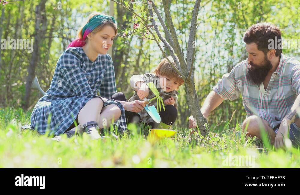 Working dad Stock Videos & Footage - HD and 4K Video Clips - Alamy