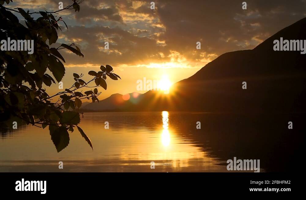 Sunset on lake with branches and lens flares Stock Video Footage - Alamy
