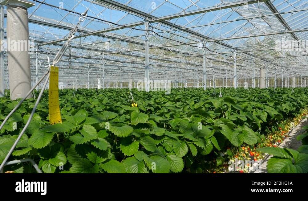 High tech farming Stock Videos & Footage - HD and 4K Video Clips - Alamy