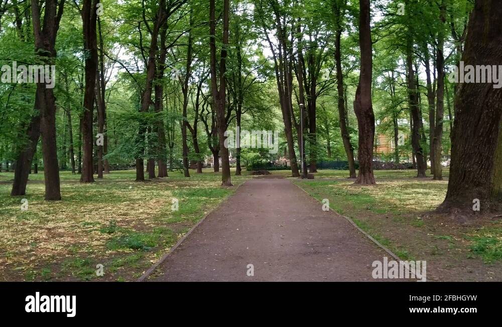 Marked pathway Stock Videos & Footage - HD and 4K Video Clips - Alamy