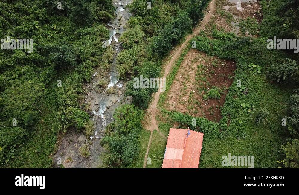 Forests of vietnam Stock Videos & Footage - HD and 4K Video Clips - Alamy