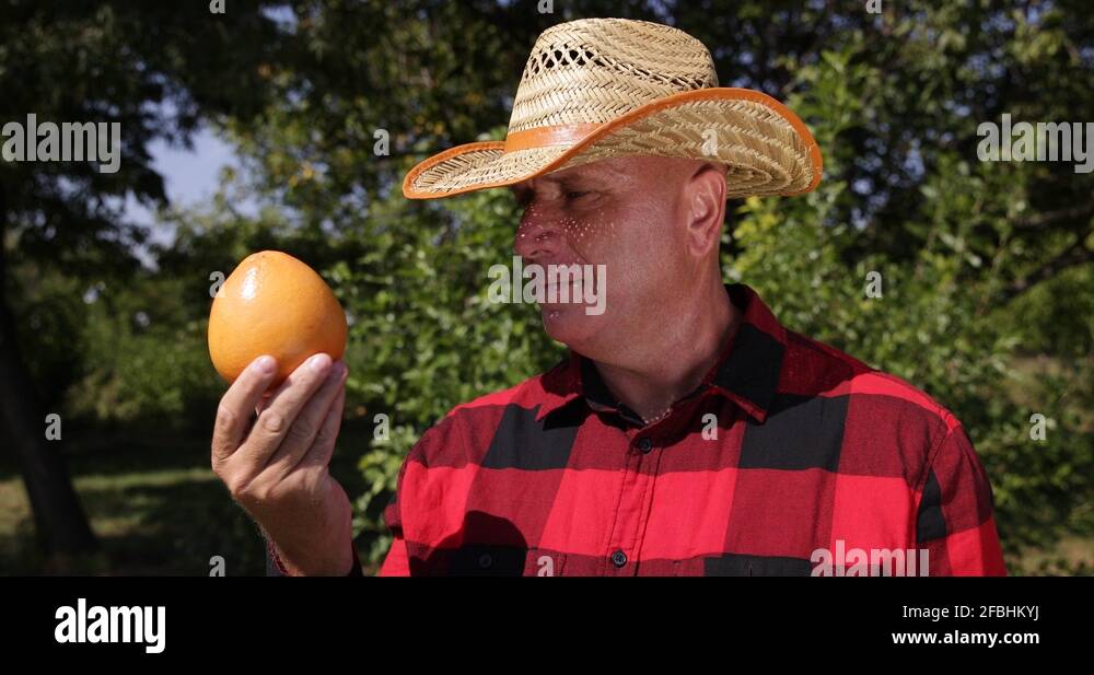 Farmer Recommend Grapefruit Consume and Make OK Hand Sign a Good Job ...
