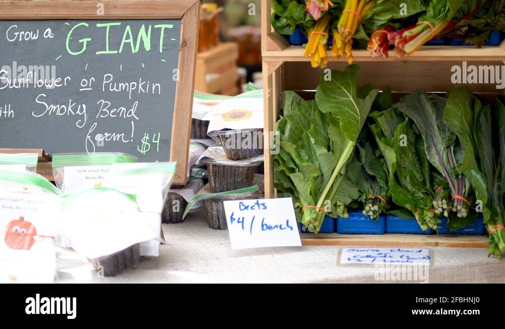 Slide to the right of swiss chard and different types of kale at a ...