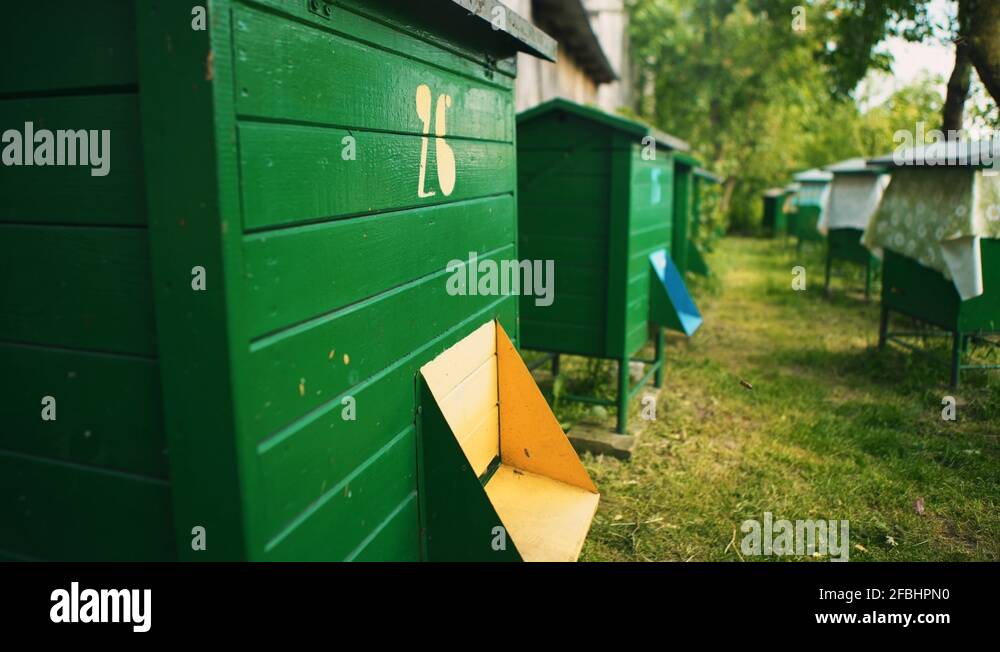 Farming colony Stock Videos & Footage - HD and 4K Video Clips - Alamy