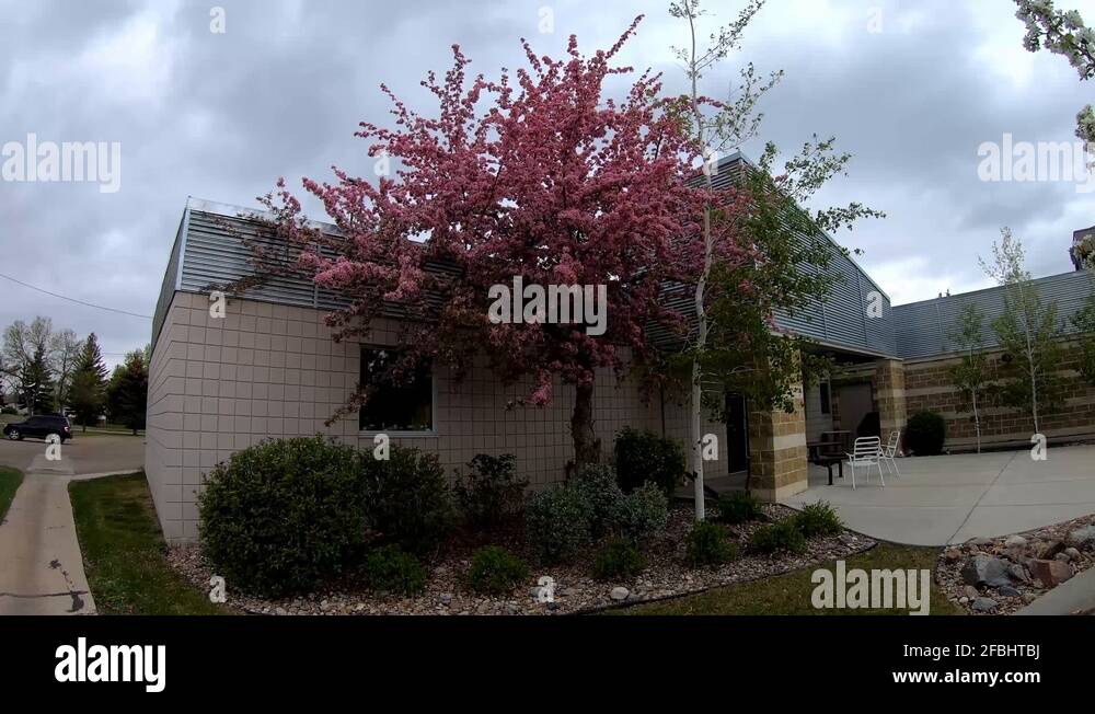 Pink hospital Stock Videos & Footage - HD and 4K Video Clips - Alamy