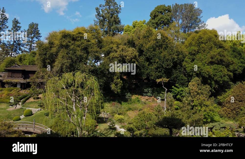 Garden library Stock Videos & Footage - HD and 4K Video Clips - Alamy