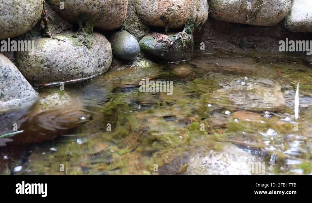 Bubbling springs trail Stock Videos & Footage - HD and 4K Video Clips ...