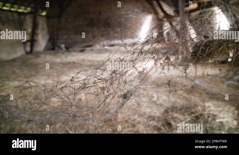 Old haystack Stock Videos & Footage - HD and 4K Video Clips - Alamy