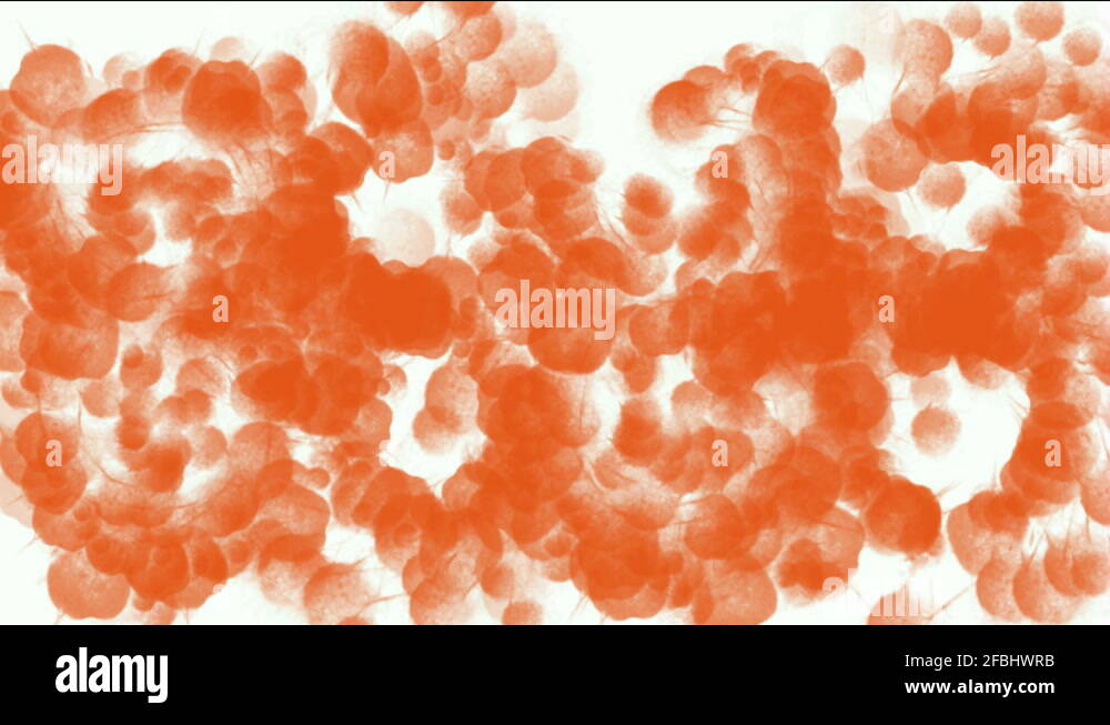 Salmonella bacteria eggs Stock Videos & Footage - HD and 4K Video Clips ...