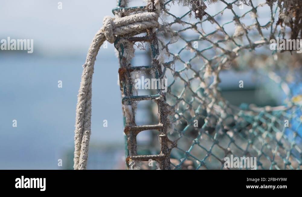 Tidal trap Stock Videos & Footage - HD and 4K Video Clips - Alamy