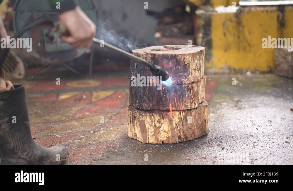 Torch the tree Stock Videos & Footage - HD and 4K Video Clips - Alamy