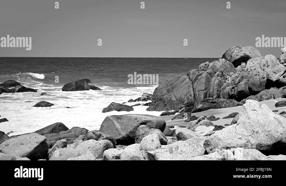 Mottled black Stock Videos & Footage - HD and 4K Video Clips - Alamy