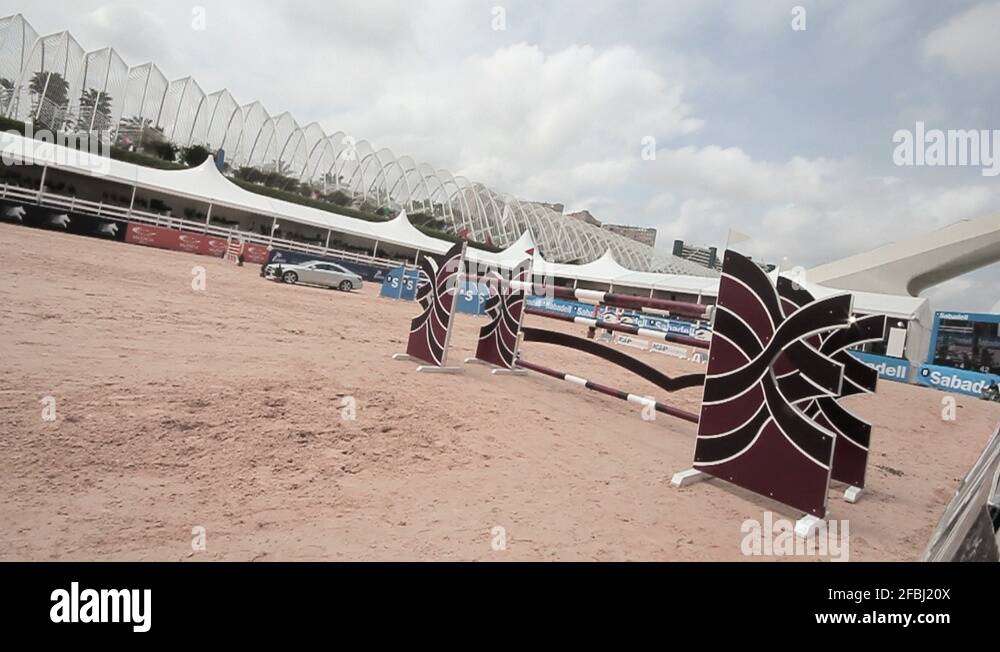 Champion equestrian Stock Videos & Footage - HD and 4K Video Clips - Alamy