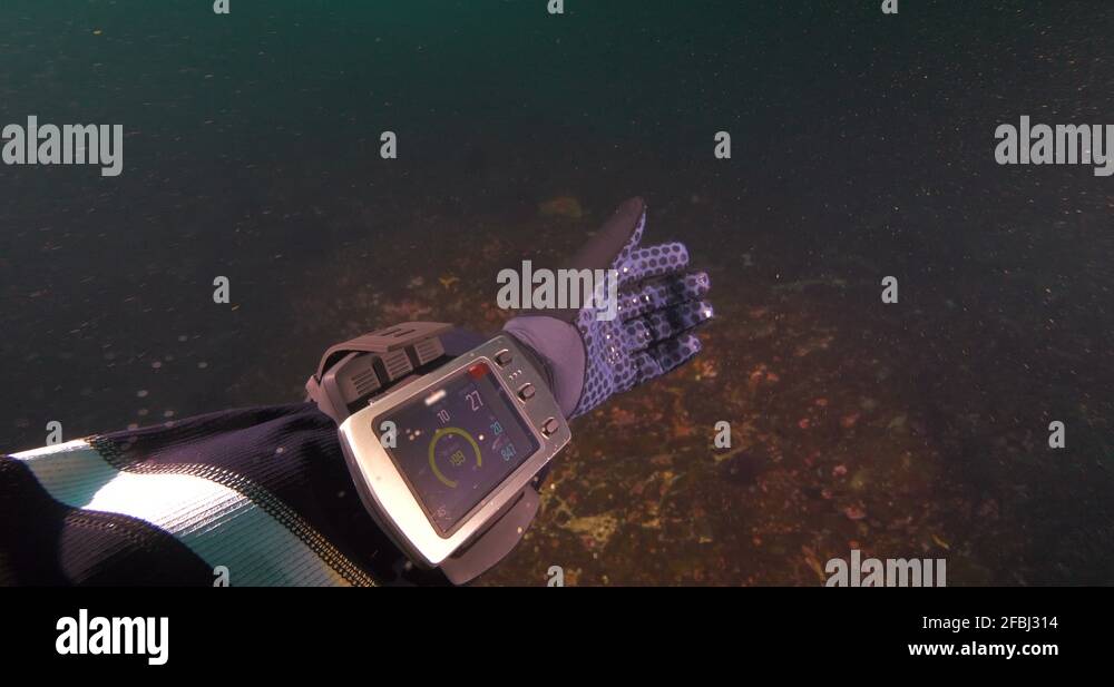 Diving instrument Stock Videos & Footage - HD and 4K Video Clips - Alamy