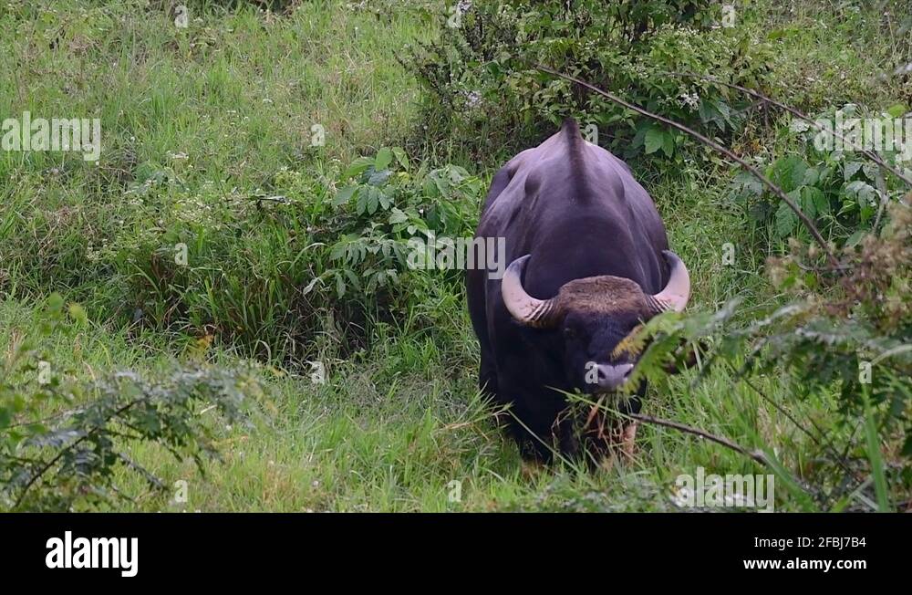 Extant Stock Videos & Footage - HD and 4K Video Clips - Alamy