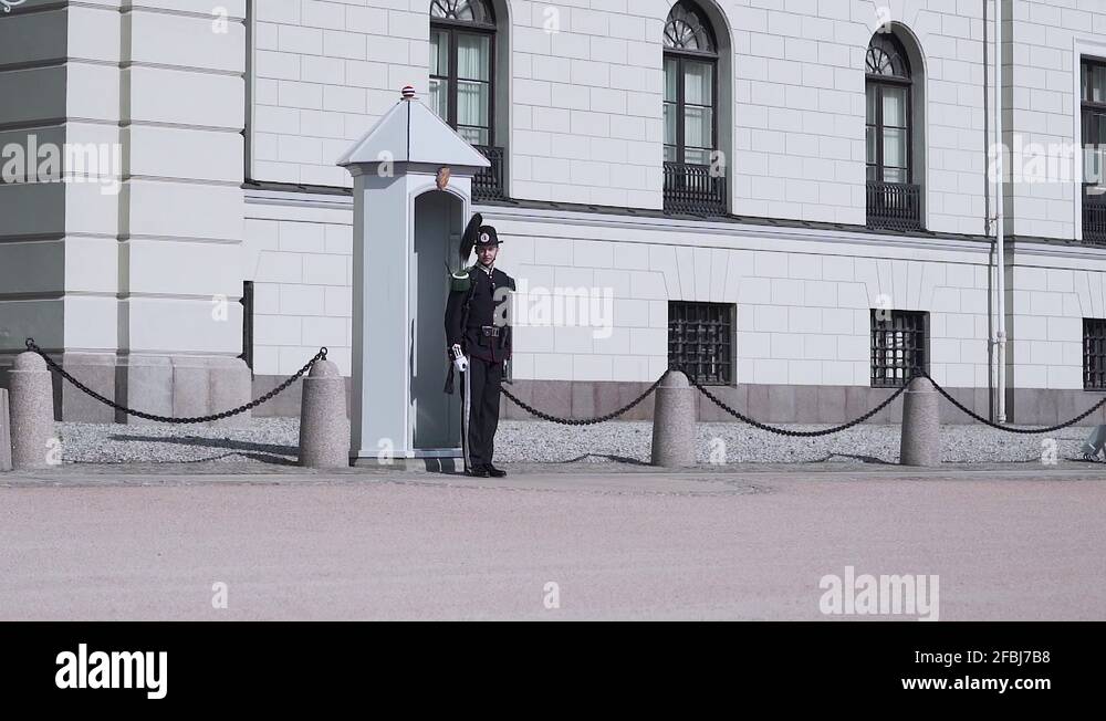 Royal guard standing palace Stock Videos & Footage - HD and 4K Video ...