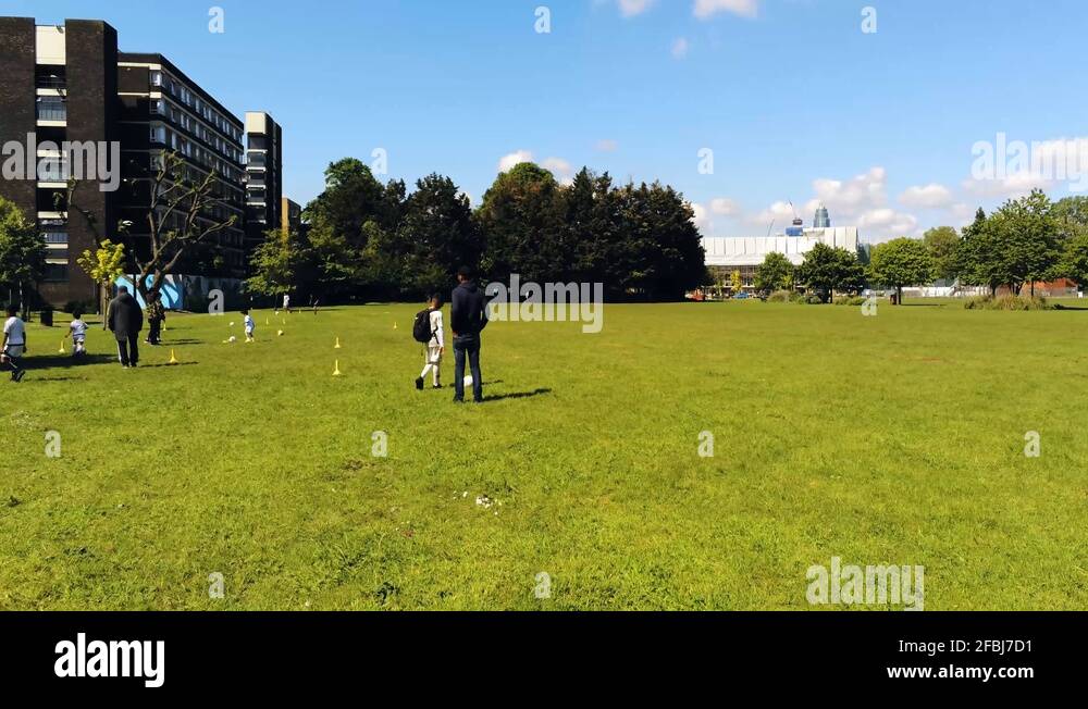 Clean park Stock Videos & Footage - HD and 4K Video Clips - Alamy
