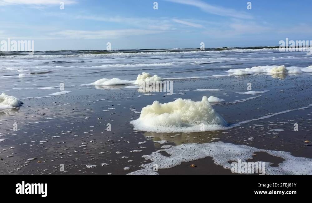 Tidal foam Stock Videos & Footage - HD and 4K Video Clips - Alamy