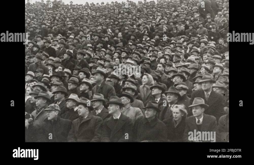 Green bronco Stock Videos & Footage - HD and 4K Video Clips - Alamy
