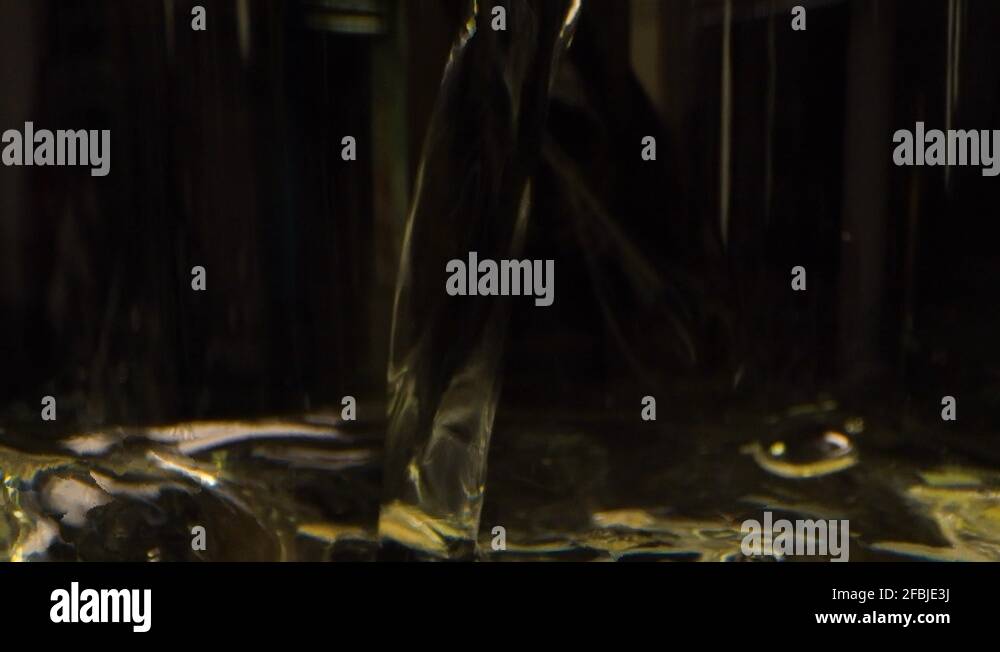 Shampoo blob Stock Videos & Footage - HD and 4K Video Clips - Alamy
