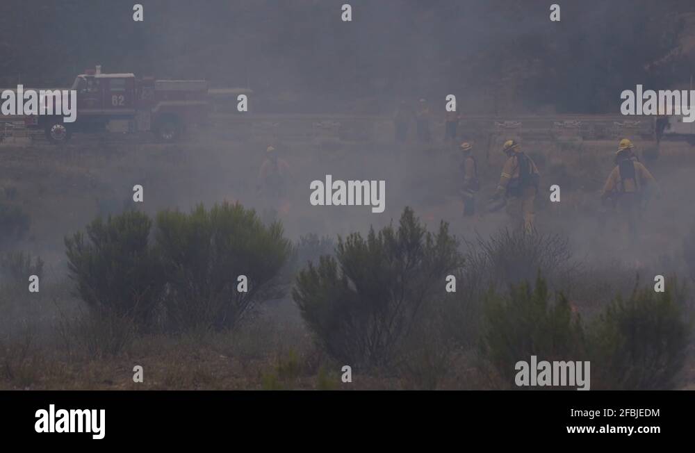 Prescribed control burn Stock Videos & Footage - HD and 4K Video Clips ...