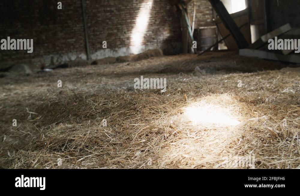 Sunrays falling on hay in empty old haystack Stock Video Footage - Alamy