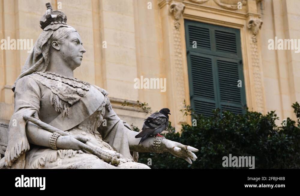 Maltese statue Stock Videos & Footage - HD and 4K Video Clips - Alamy