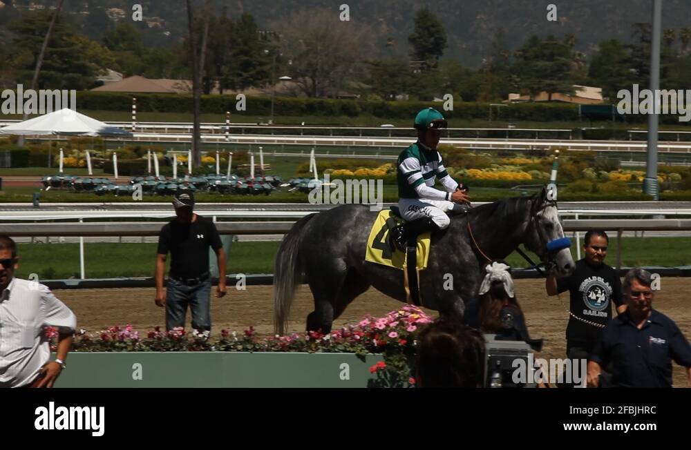 Derby winners circle Stock Videos & Footage - HD and 4K Video Clips - Alamy