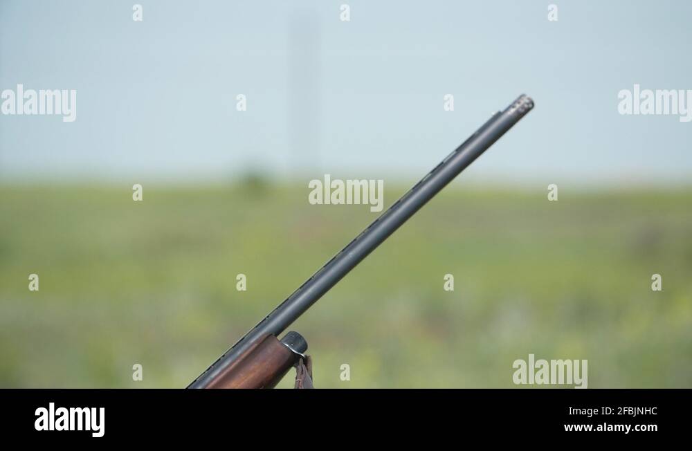 Clay pigeon rifle range Stock Videos & Footage - HD and 4K Video Clips ...