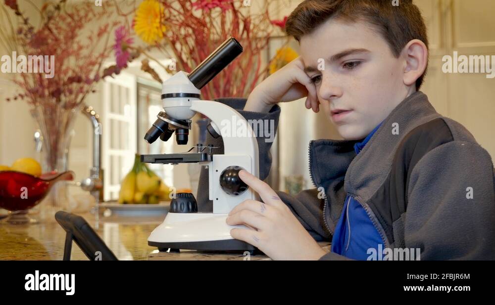 Young boy watching mobile phone Stock Videos & Footage - HD and 4K ...