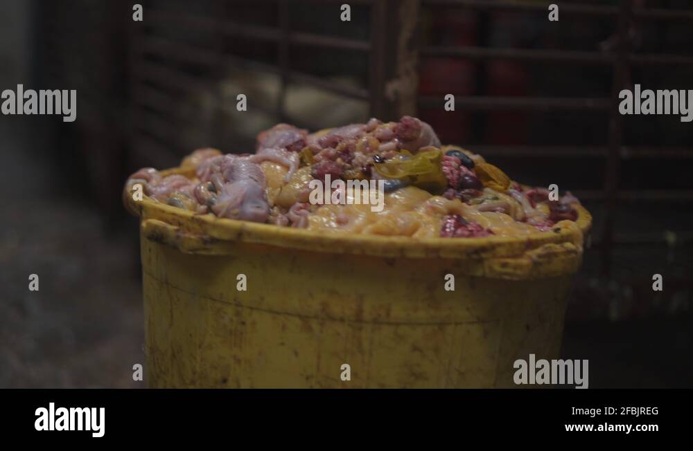 Bars waste in street Stock Videos & Footage - HD and 4K Video Clips - Alamy