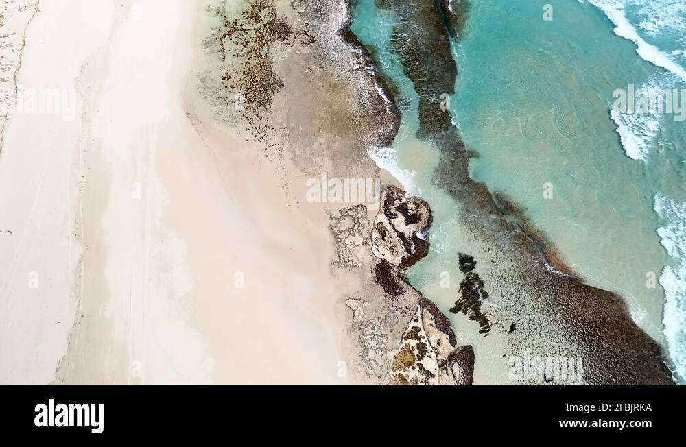 Tan painting Stock Videos & Footage - HD and 4K Video Clips - Alamy