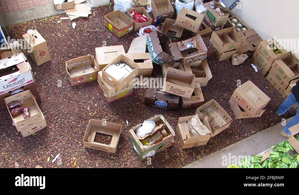 Produce boxes Stock Videos & Footage - HD and 4K Video Clips - Alamy
