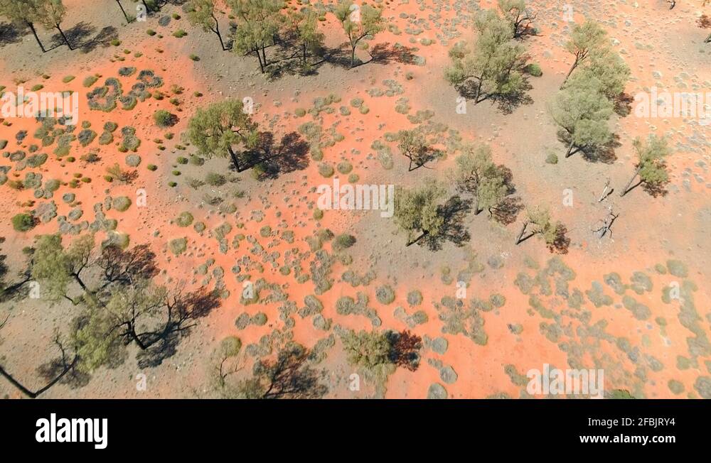 How plants spread Stock Videos & Footage - HD and 4K Video Clips - Alamy