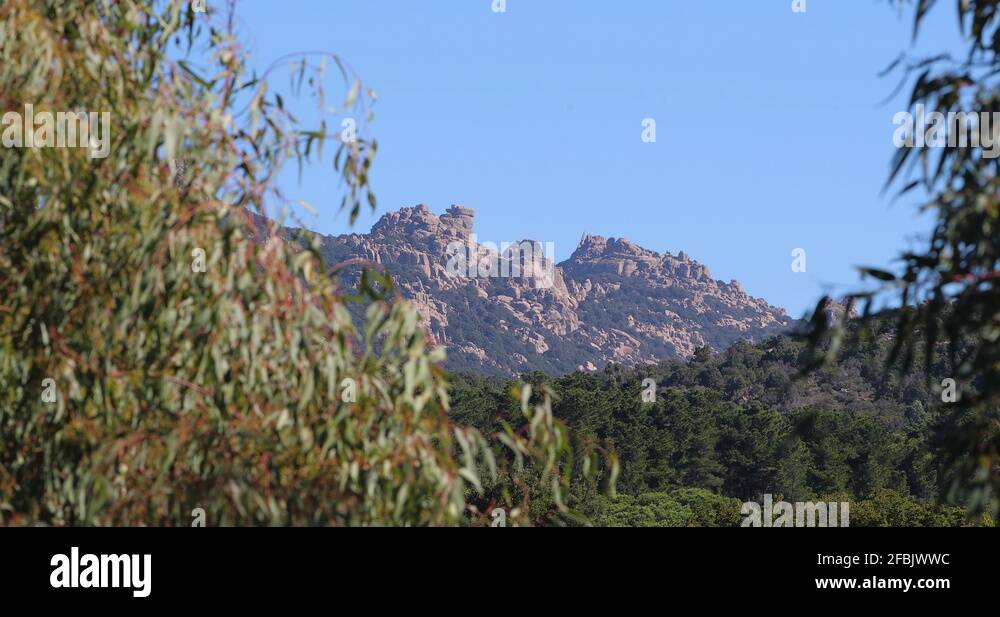 A View behind leafy trees blowing in breeze and seven brothers mountain ...