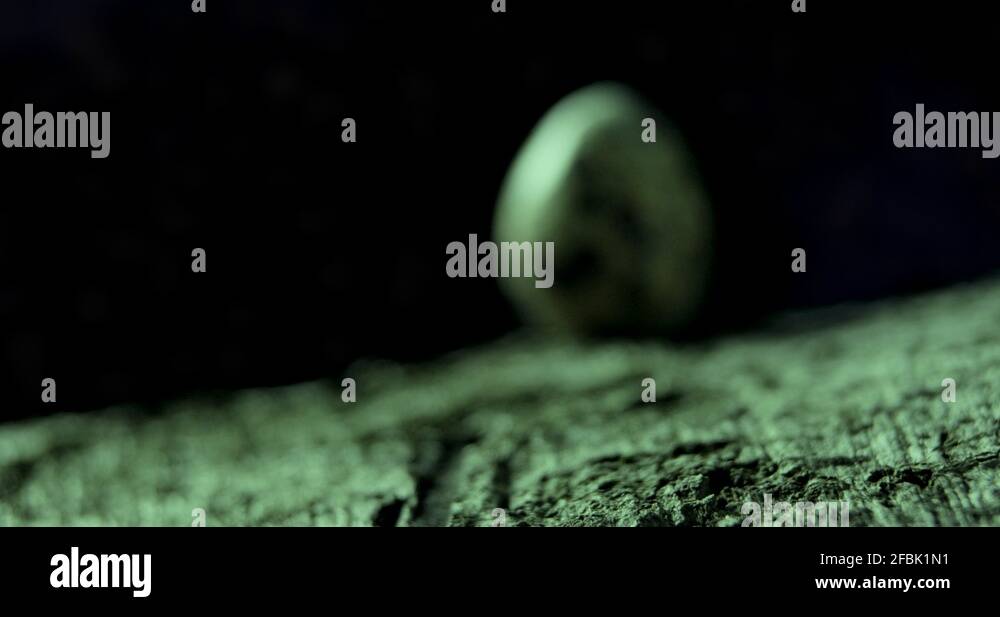 Alien egg Stock Videos & Footage - HD and 4K Video Clips - Alamy