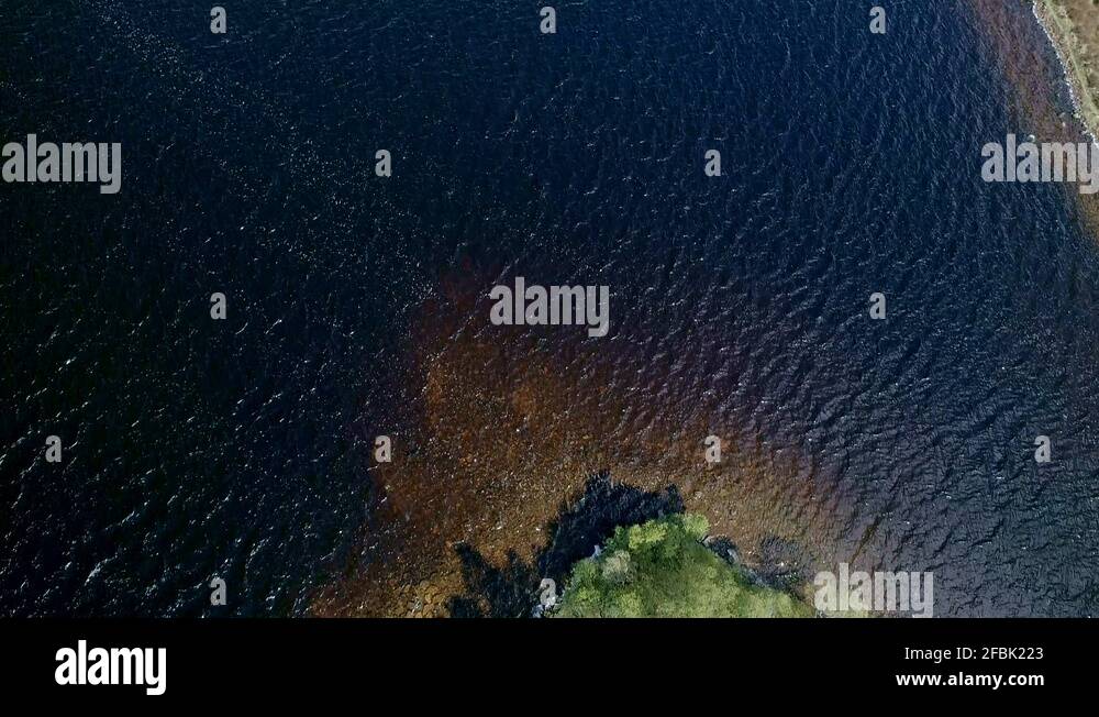 Temperate tree Stock Videos & Footage - HD and 4K Video Clips - Alamy