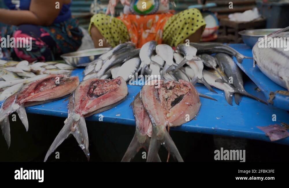 Fishmonger female Stock Videos & Footage - HD and 4K Video Clips - Alamy