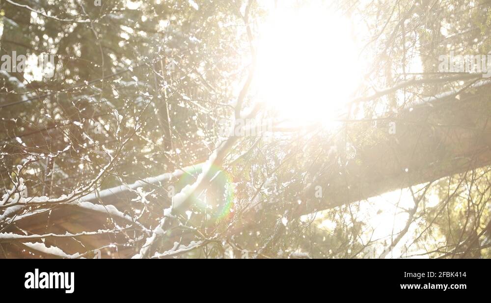 Snow leaks Stock Videos & Footage - HD and 4K Video Clips - Alamy