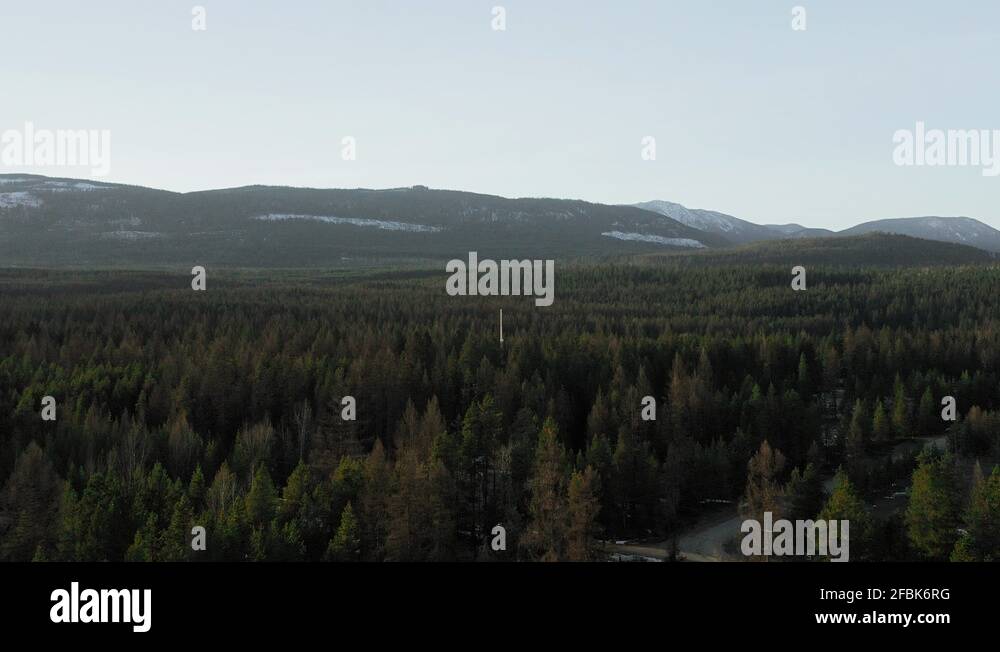 Fading trees Stock Videos & Footage - HD and 4K Video Clips - Alamy