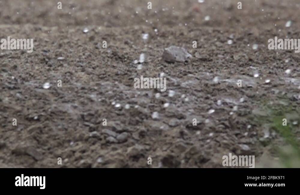 Wet farm track Stock Videos & Footage - HD and 4K Video Clips - Alamy