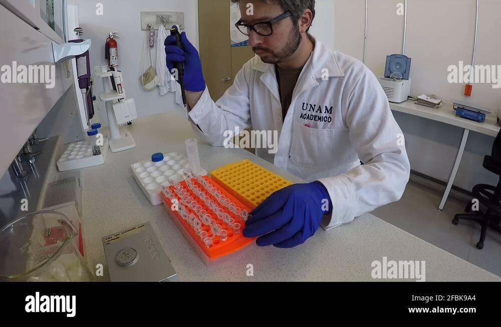 Phd student laboratory Stock Videos & Footage - HD and 4K Video Clips ...