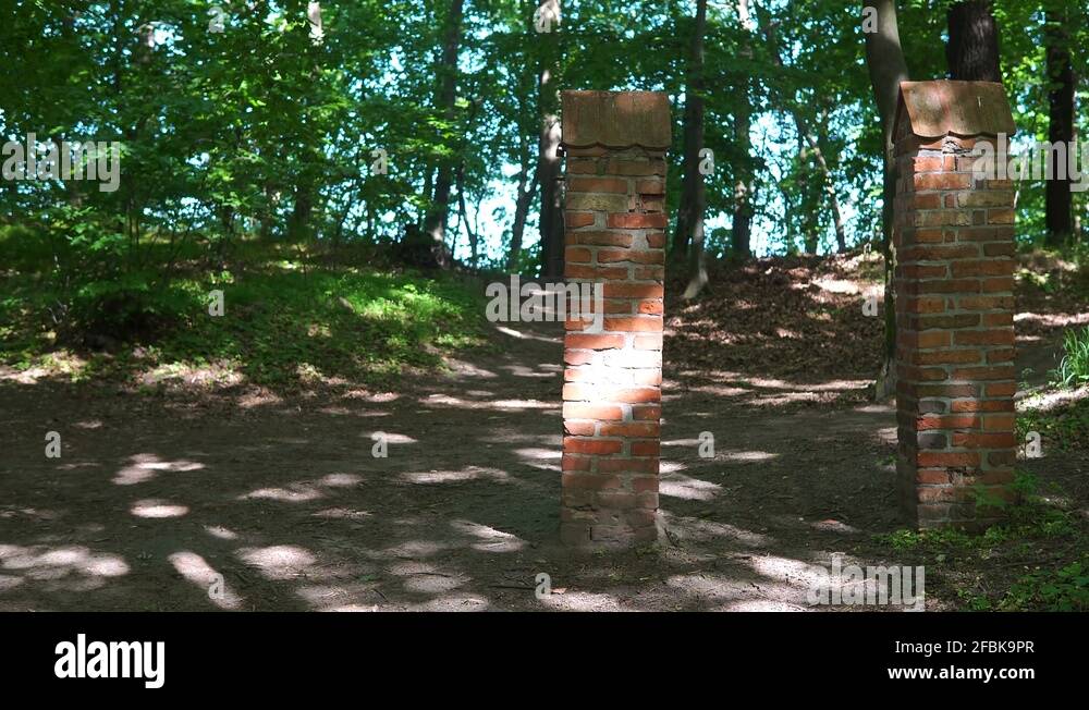 Gate in forest Stock Videos & Footage - HD and 4K Video Clips - Alamy